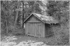 Roza | WOD: The Third Reich Wiki | Fandom