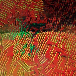 Woe.Begone Wiki | Fandom