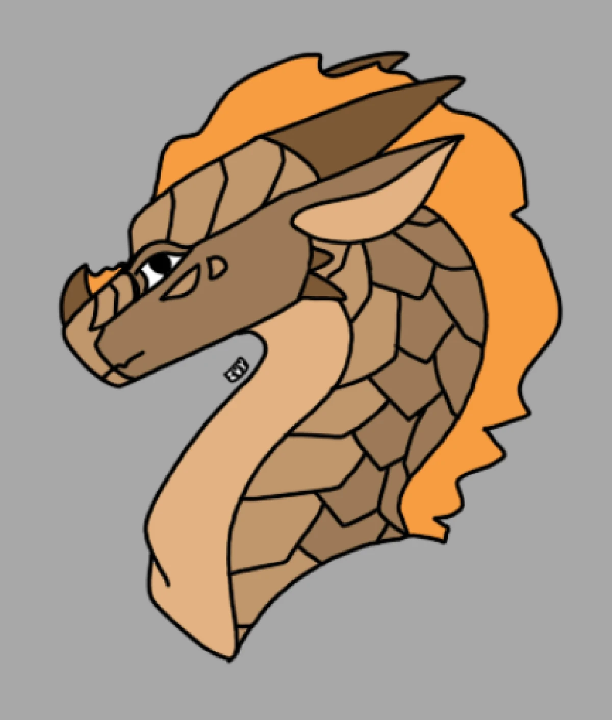 Kangaroo | Wings of Fire Collab Writing Wiki | Fandom