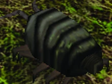 Meatbug | Gothic Wiki | Fandom