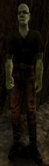 Gothic Sequel | Gothic Wiki | Fandom