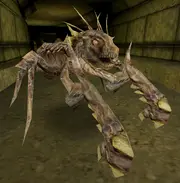 Animals and Monsters (Gothic 1) | Gothic Wiki | Fandom