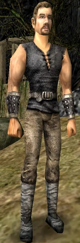 Nameless Hero | Gothic Wiki | Fandom