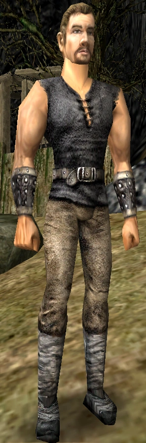 Nameless Hero | Gothic Wiki | Fandom