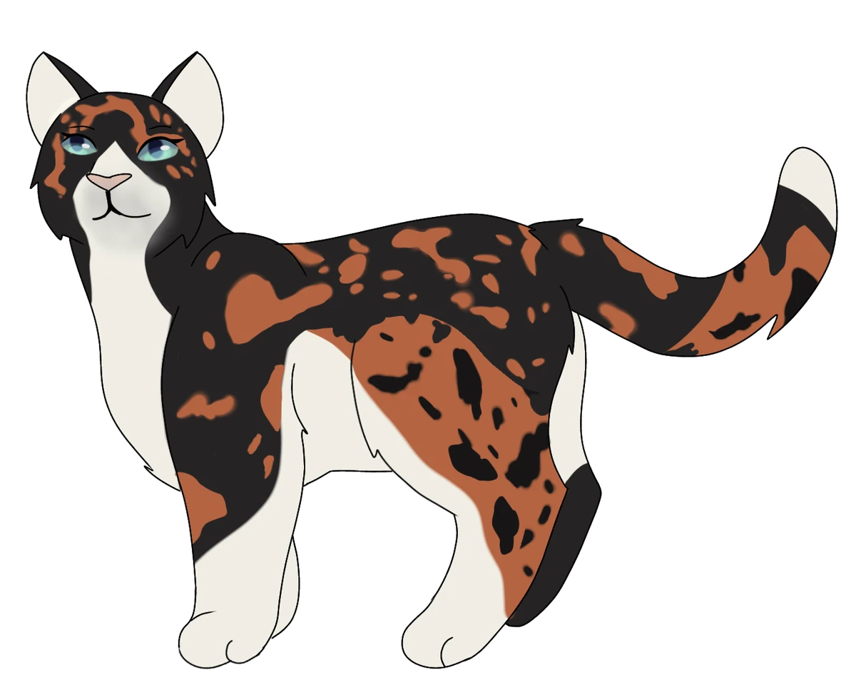 Pstrokaty Ogon | Wojownicy ,,Rewrite" Wiki | Fandom