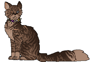 Furia (PSP) | Wojownicy Wiki | Fandom