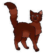 Dębowe Serce | Wojownicy Wiki | Fandom