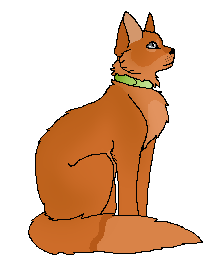 Kici Kici | Wojownicy Wiki | Fandom