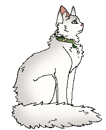 Korniszon | Wojownicy Wiki | Fandom