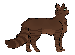 Pluskający Ogon (ZK) | Wojownicy Wiki | Fandom