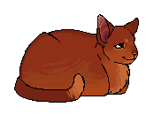 Rdza | Wojownicy Wiki | Fandom