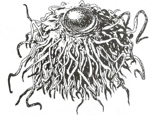 Konsumator Intelektu | Wojtiwersum Wiki | Fandom