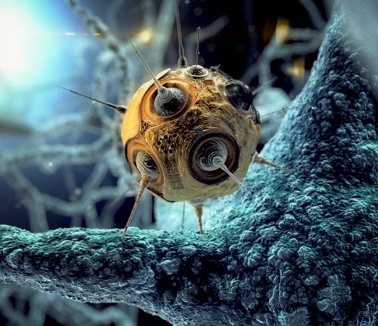 Nanoboty | Wojtiwersum Wiki | Fandom