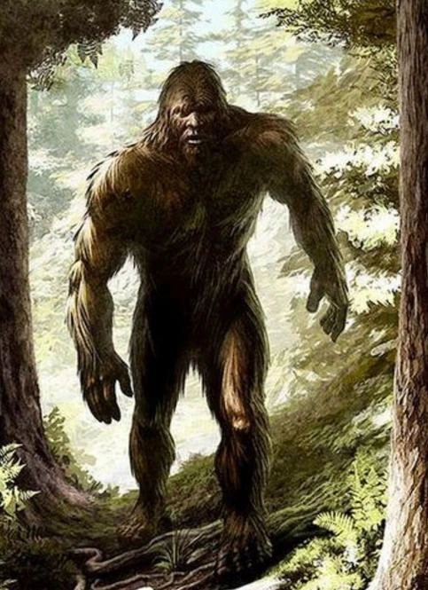 Hominidy | Wojtiwersum Wiki | Fandom