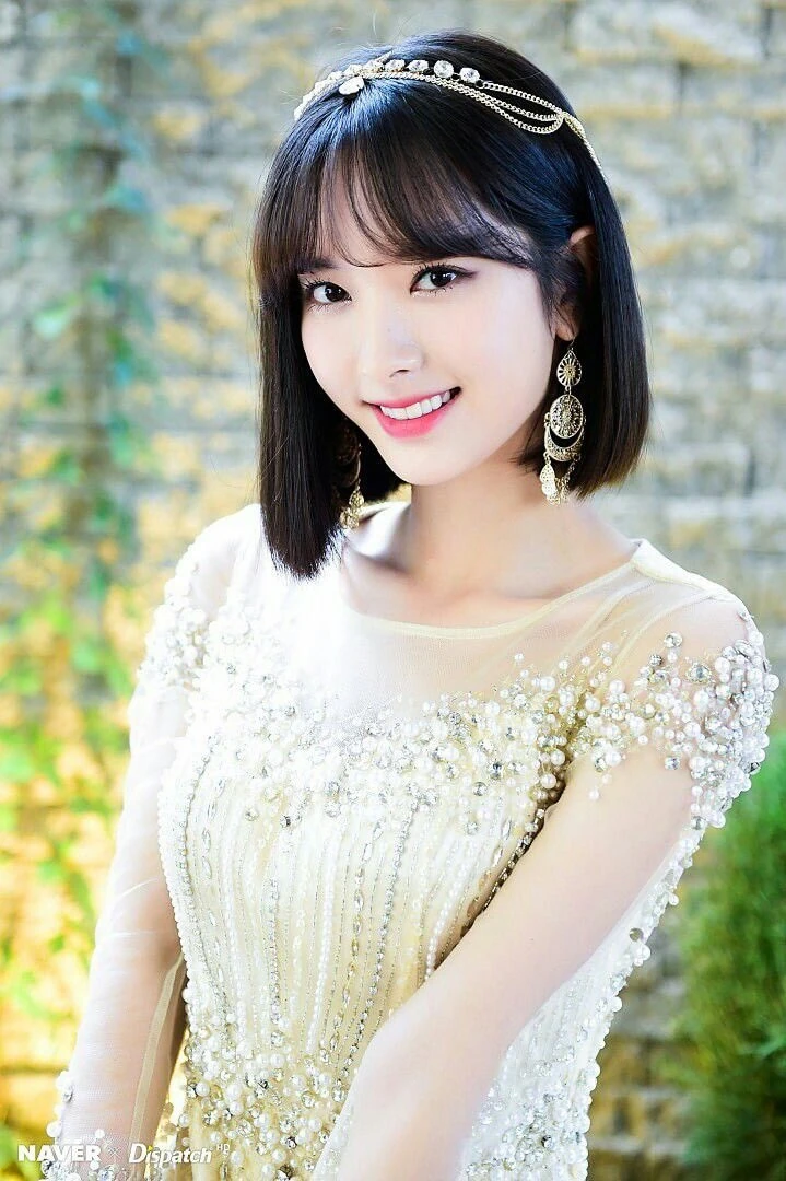 Bona Kashii | Wikia Wolf Blue | Fandom