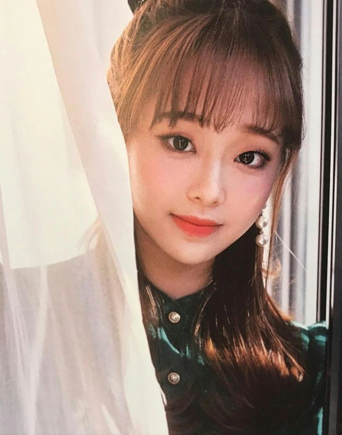 Chuly | Wikia Wolf Blue | Fandom