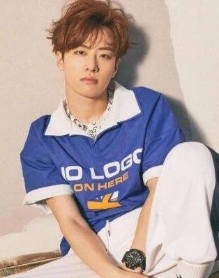 Feeldog | Wikia Wolf Blue | Fandom