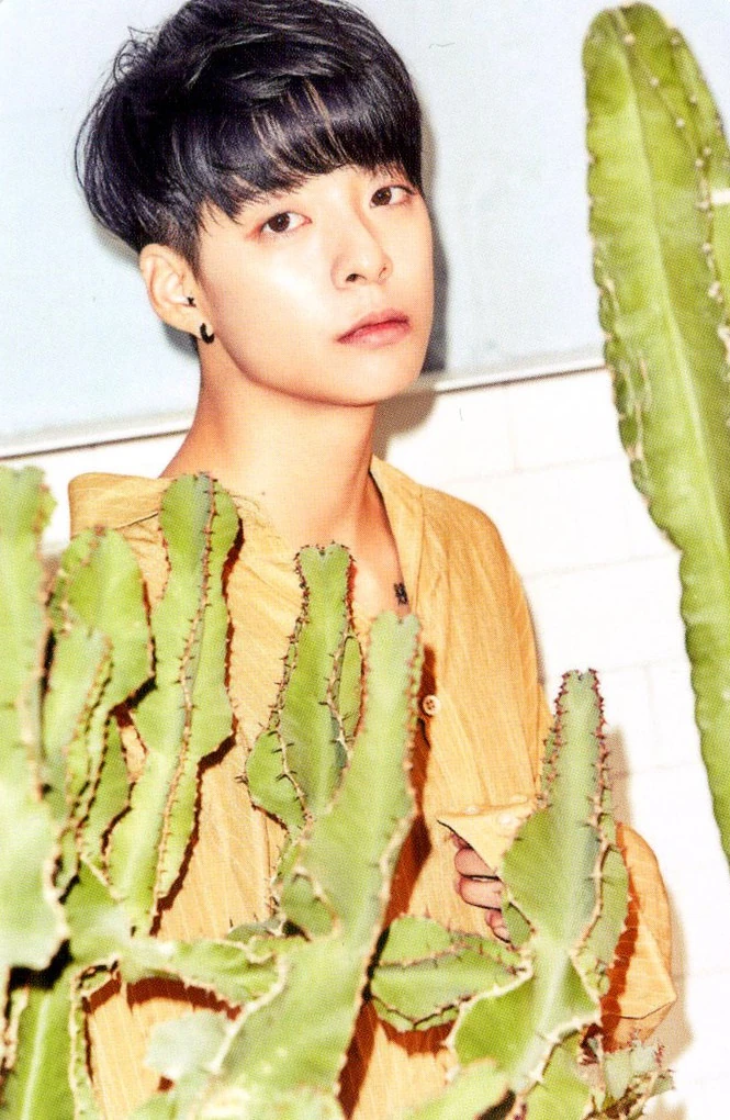 Amber | Wikia Wolf Blue | Fandom