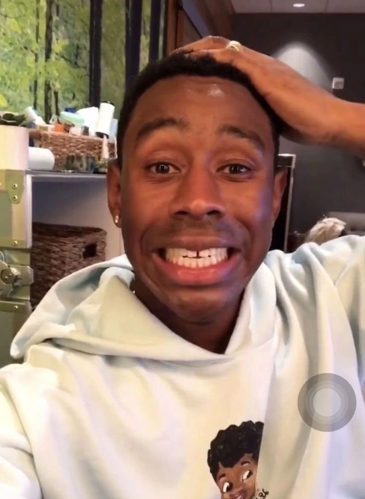 Tyler, The Creator/Old | Wolf Haley Wiki | Fandom