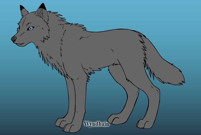 Akila | Wolf Isle Wiki | Fandom