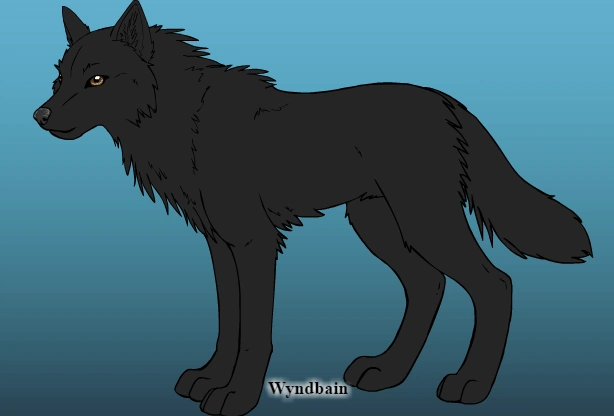 Ki | Wolf Isle Wiki | Fandom