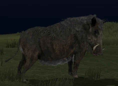 Boar | Wolf Online 2 Wiki | Fandom
