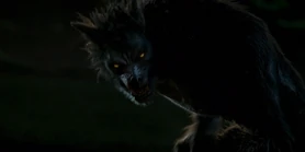 Werewolf | Wolf Pack Wiki | Fandom