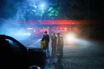 Everett Lang | Wolf Pack Wiki | Fandom