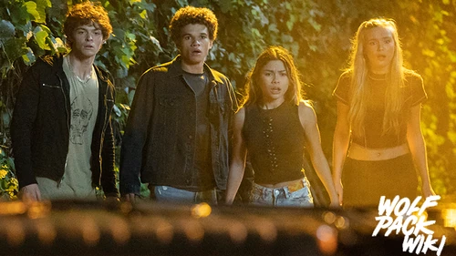 Wolf Pack (TV Show) | Wolf Pack TV Show Wiki | Fandom