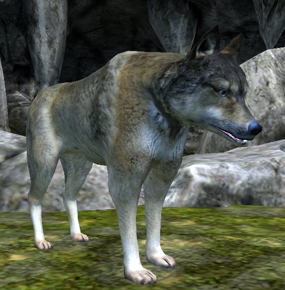Wolf player | Wolf Simulator Evolution Wiki | Fandom