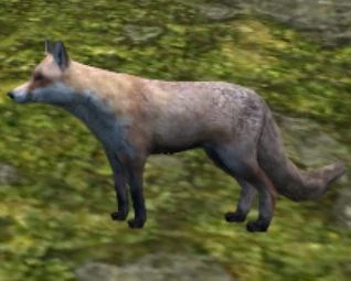 Fox | Wolf Simulator Evolution Wiki | Fandom