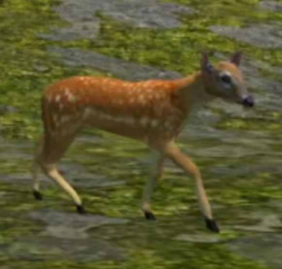 Fawn | Wolf Simulator Evolution Wiki | Fandom