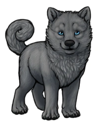 Pygmy Wolf | Wolf Soul Wiki | Fandom