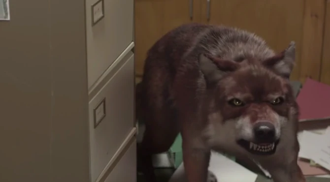 Wolf Forms | Wolfblood Wiki | Fandom