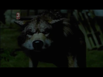 Daniel Smith | Wolfblood Wiki | Fandom