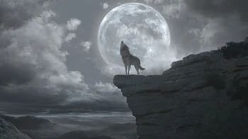 Wolfbloods | Wolfblood Wiki | Fandom