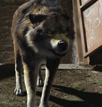 Daniel Smith | Wolfblood Wiki | Fandom