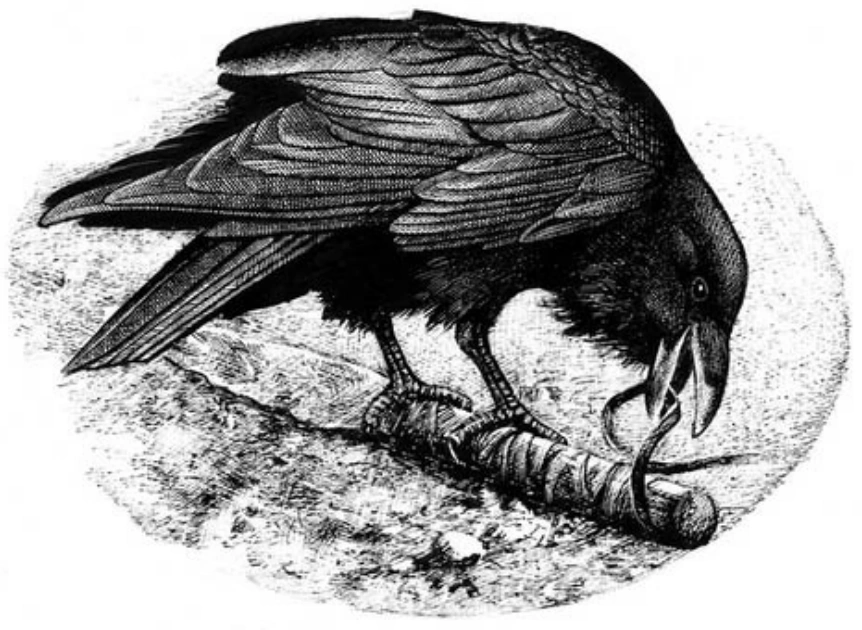 Torak's father | Chronicles of Ancient Darkness Wiki | Fandom