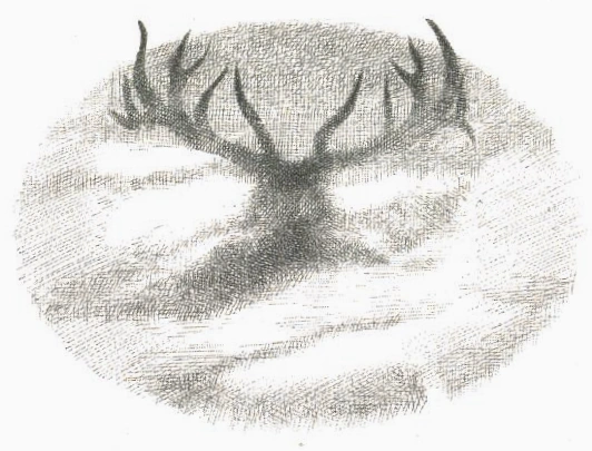 World Spirit | Chronicles of Ancient Darkness Wiki | Fandom