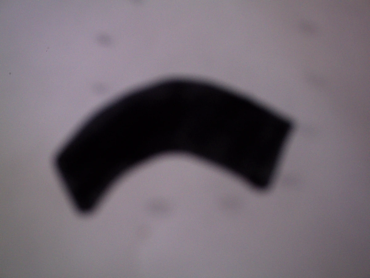 White Fox Clan | Chronicles of Ancient Darkness Wiki | Fandom