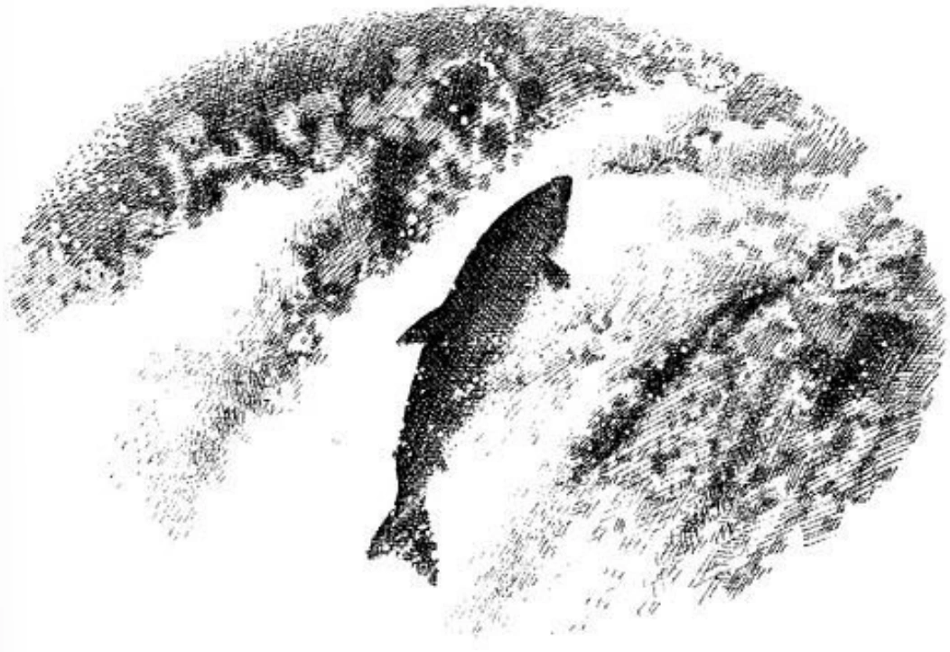 Salmon Clan | Chronicles of Ancient Darkness Wiki | Fandom