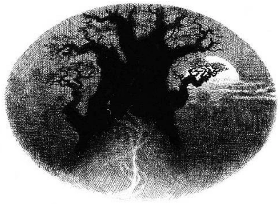 Oak Clan | Chronicles of Ancient Darkness Wiki | Fandom