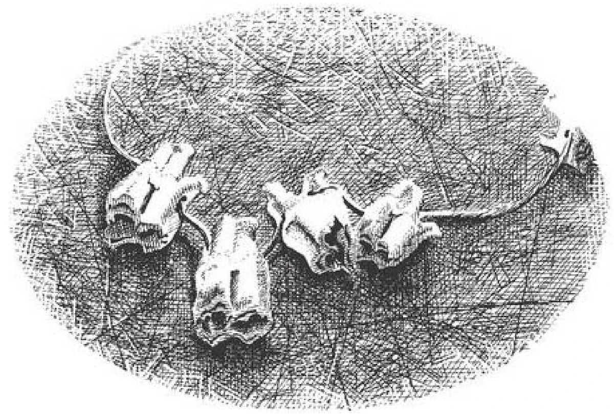 Hord | Chronicles of Ancient Darkness Wiki | Fandom