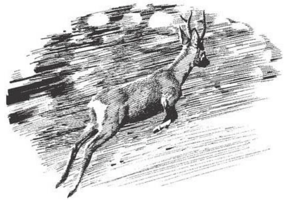 Roe Deer Clan | Chronicles of Ancient Darkness Wiki | Fandom