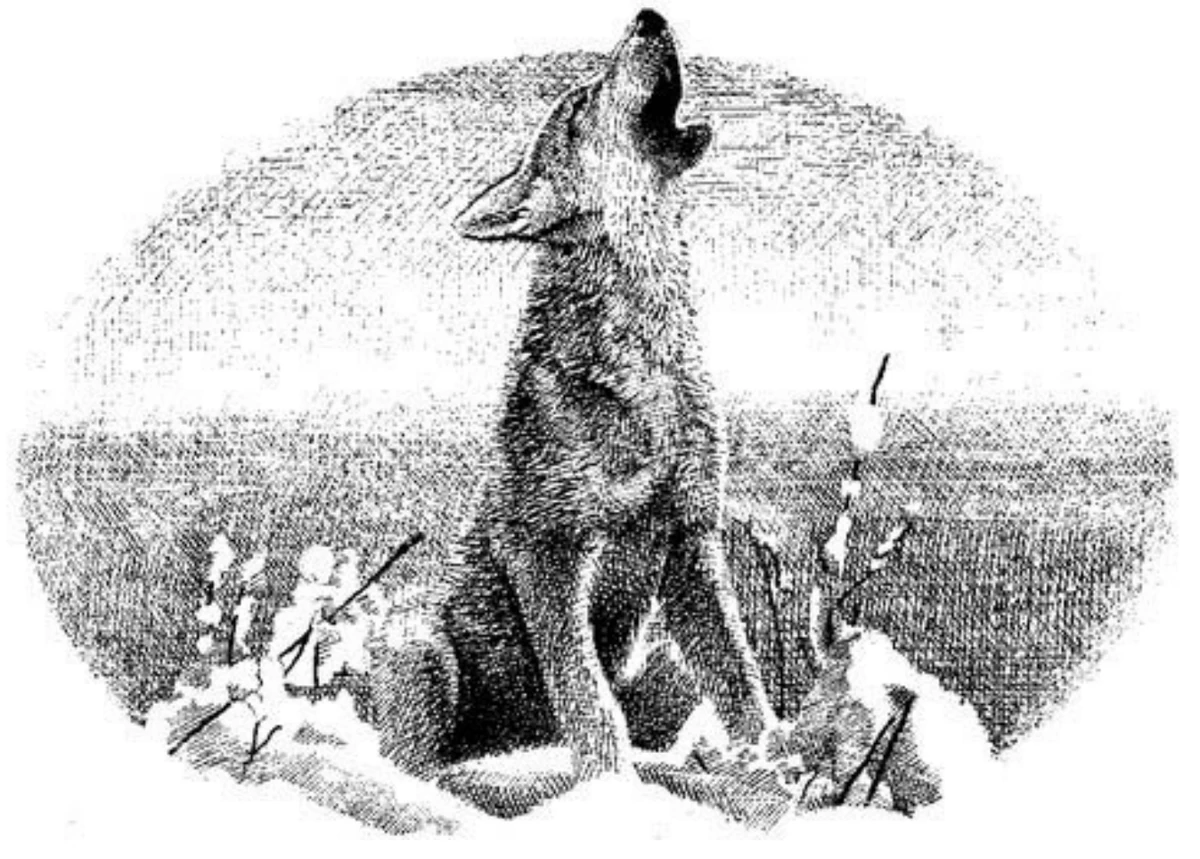 Pebble | Chronicles of Ancient Darkness Wiki | Fandom