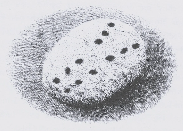 Clan tattoos | Chronicles of Ancient Darkness Wiki | Fandom