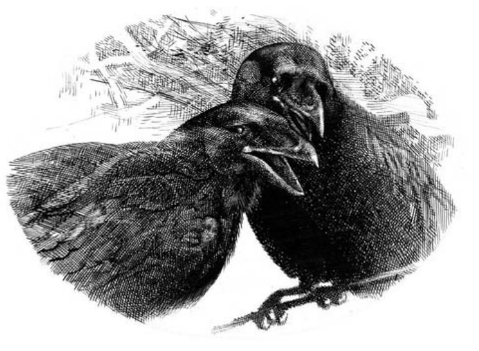 Rip and Rek | Chronicles of Ancient Darkness Wiki | Fandom