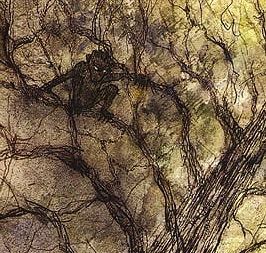 Tokoroth | Chronicles of Ancient Darkness Wiki | Fandom