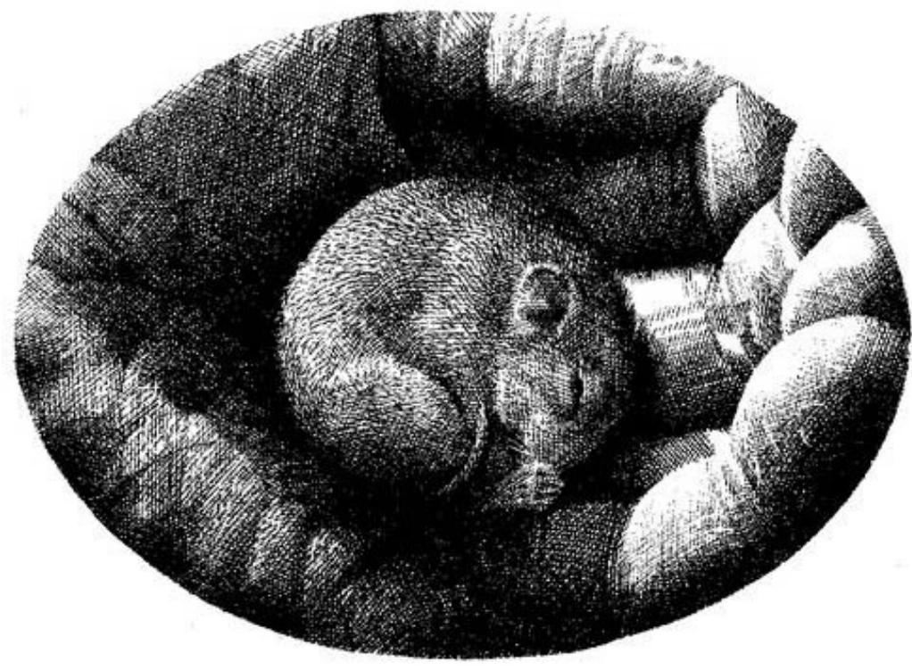 Narik | Chronicles of Ancient Darkness Wiki | Fandom