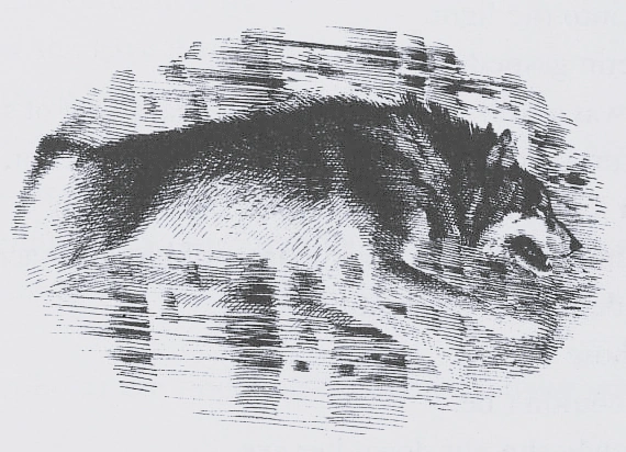 Chronicles of Ancient Darkness Wiki:Images/Geoff Taylor | Chronicles of ...